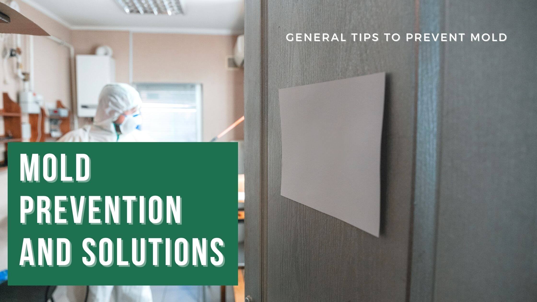 Mold Prevention and Solutions – General Tips to Prevent Mold in Your Home